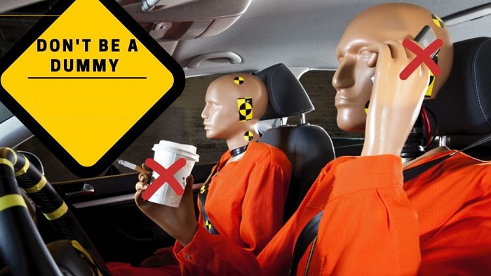 EDITORIAL: US Government To Spend $20 Million To Create Female Crash ...