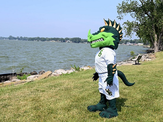 Wright State-Lake Looking To Name New Mascot – Mercer County Outlook