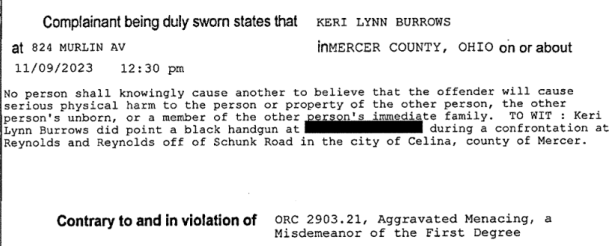 St. Henry Woman Arrested For Pointing A Handgun During A Confrontation ...