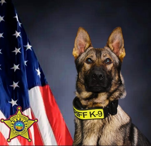 Van Wert County Sheriff’s Office Adds New K9 – Mercer County Outlook