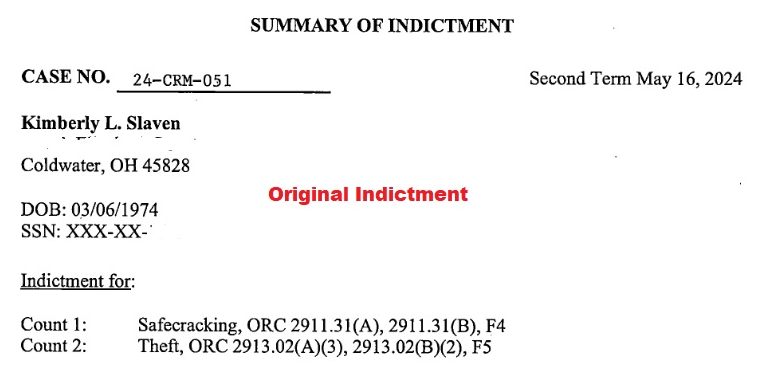 Coldwater Woman Accepts Plea Deal On Felony Charges – Mercer County Outlook