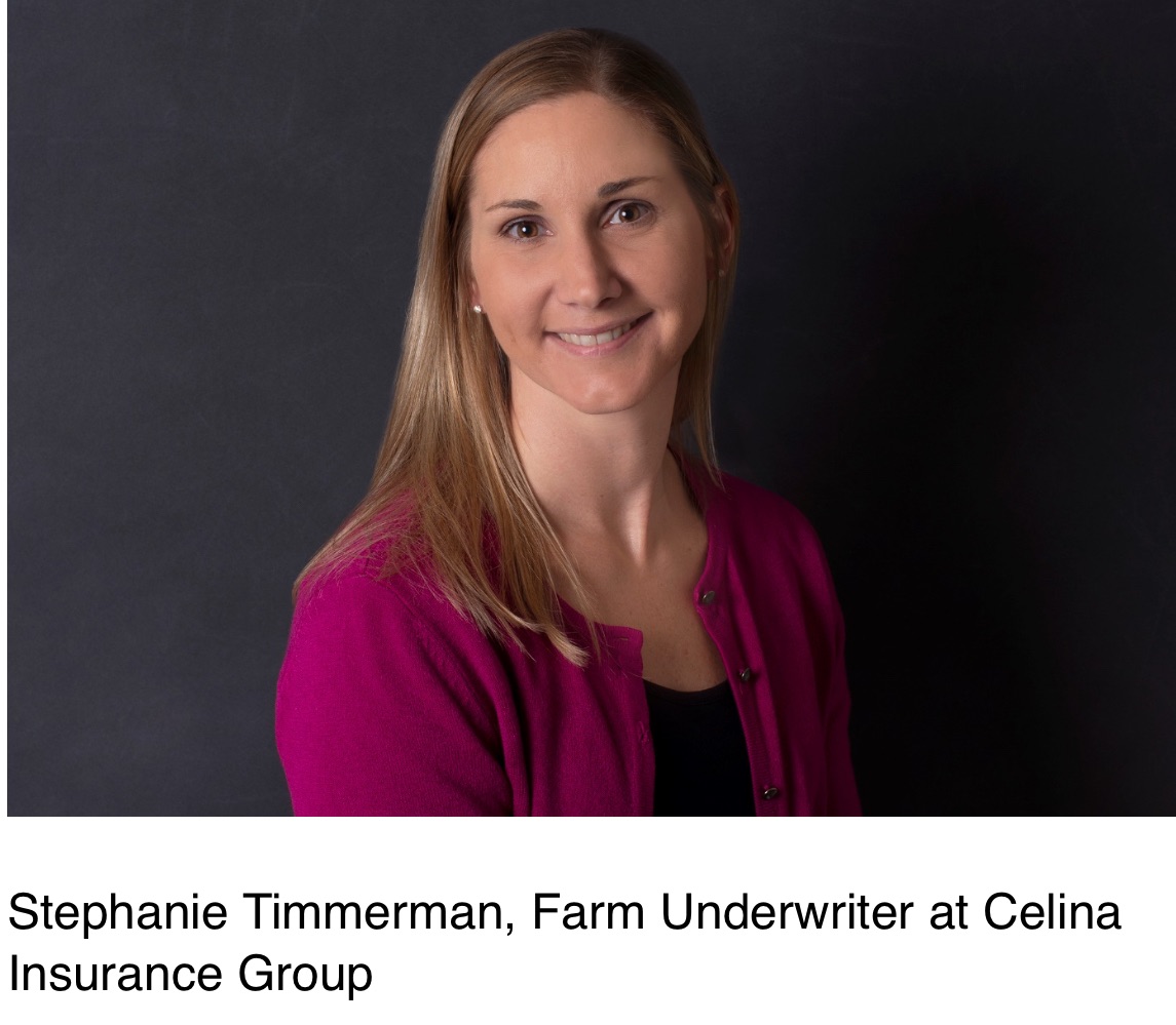 Celina Insurance Group Recognizes Stephanie Timmerman for Insurance ...