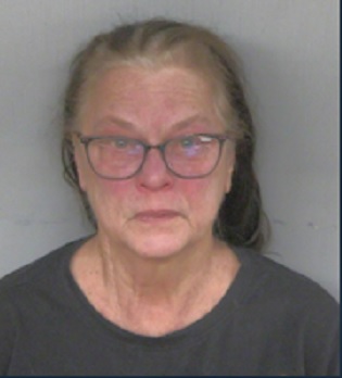 Celina Woman Arrested On Theft, Without Consent Charge – Mercer County ...