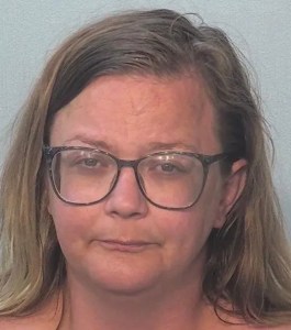 Decatur Woman Arrested After Pursuit In Stolen Ft. Wayne Police Car ...