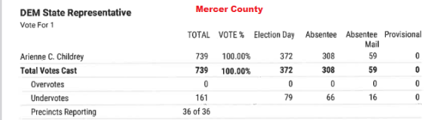 Democrat Arienne Childrey Starts Her Campaign For Ohio House 84th ...